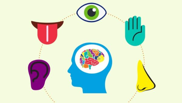 The Power of Sensory Images in Learning